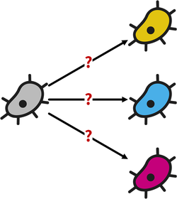 Malware Analysis with a Graph Database TechBlog